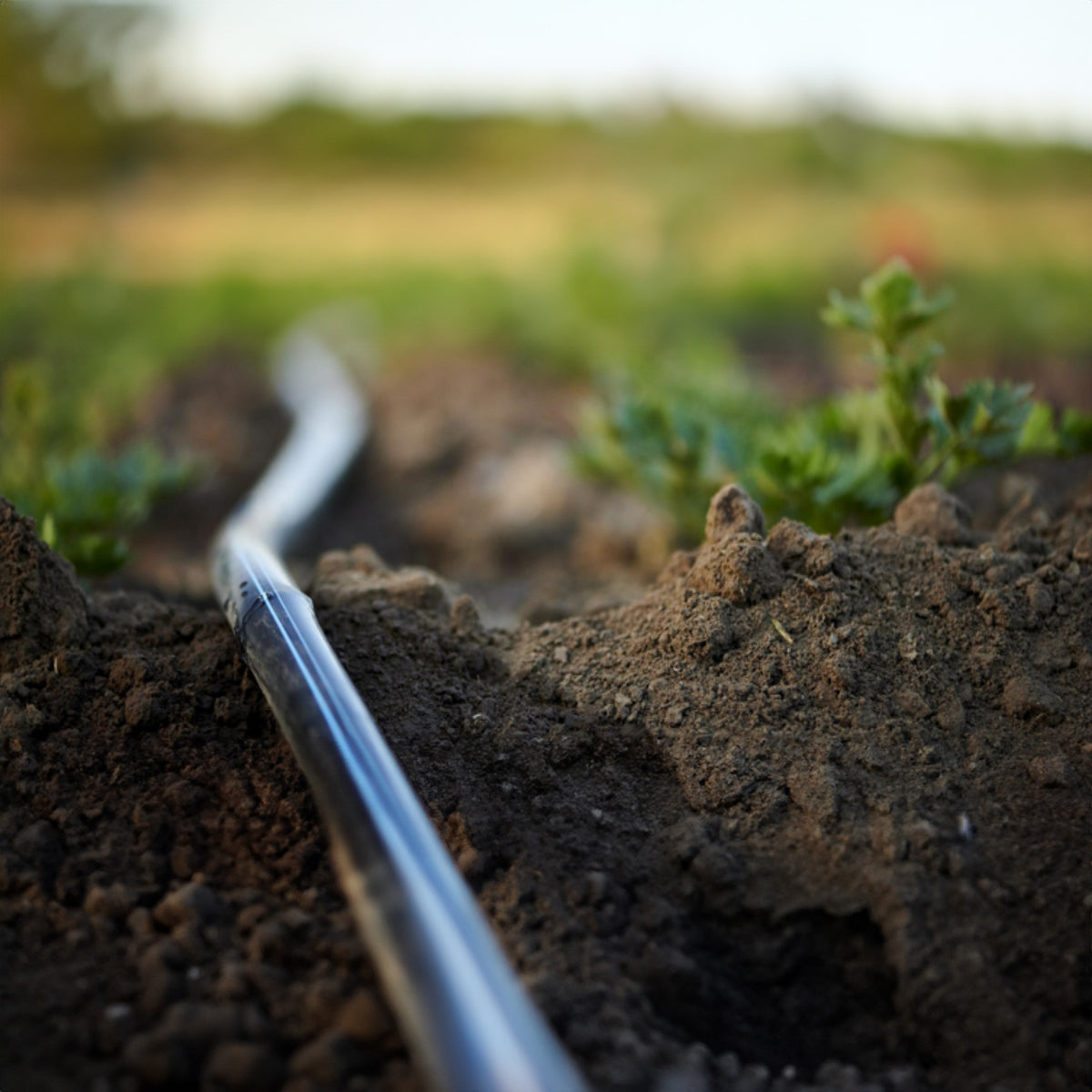 Drip Tape — Parkland Irrigation
