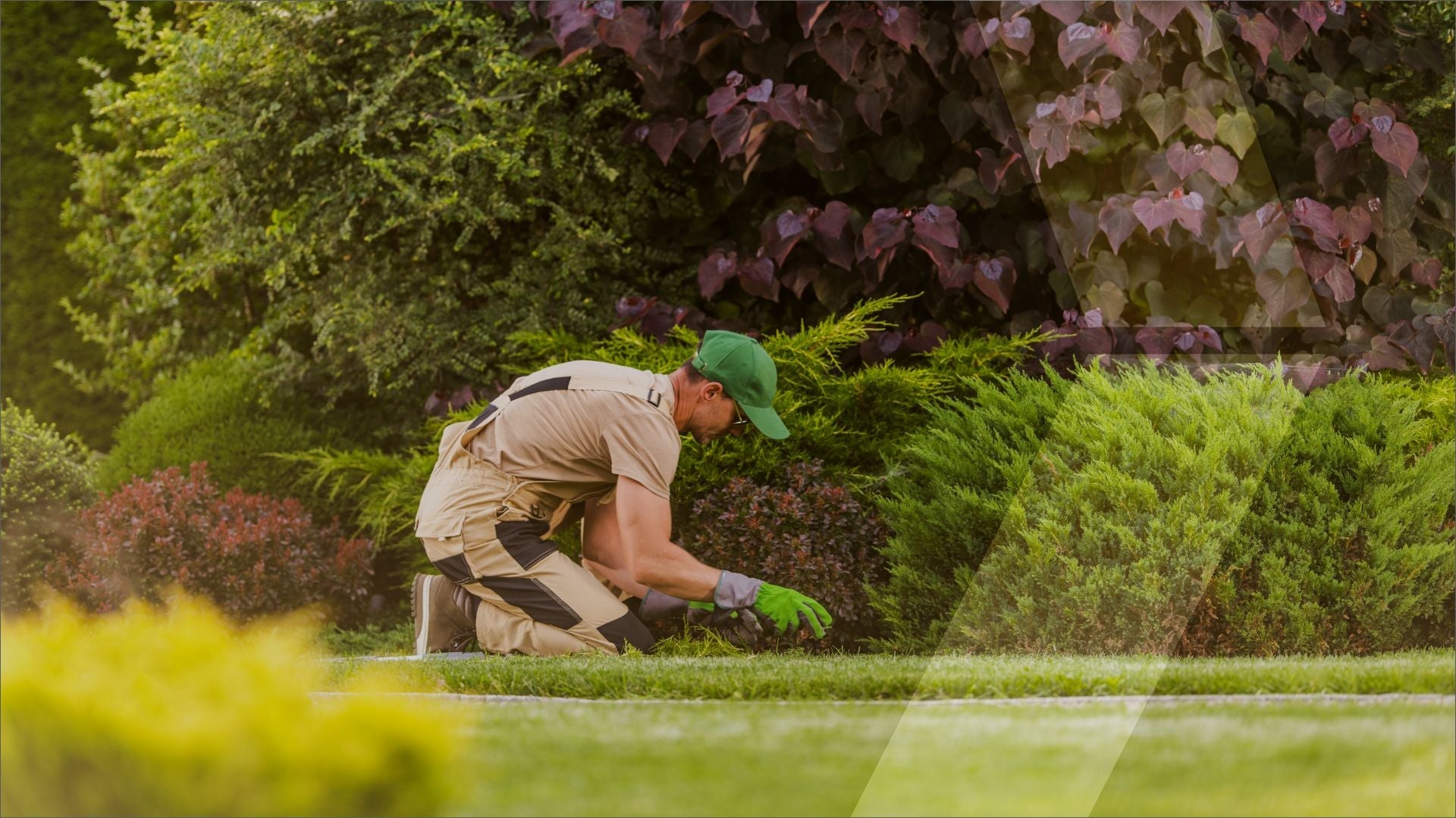 Innovative Irrigation Systems | Rain Irrigation – Made in Italy ...