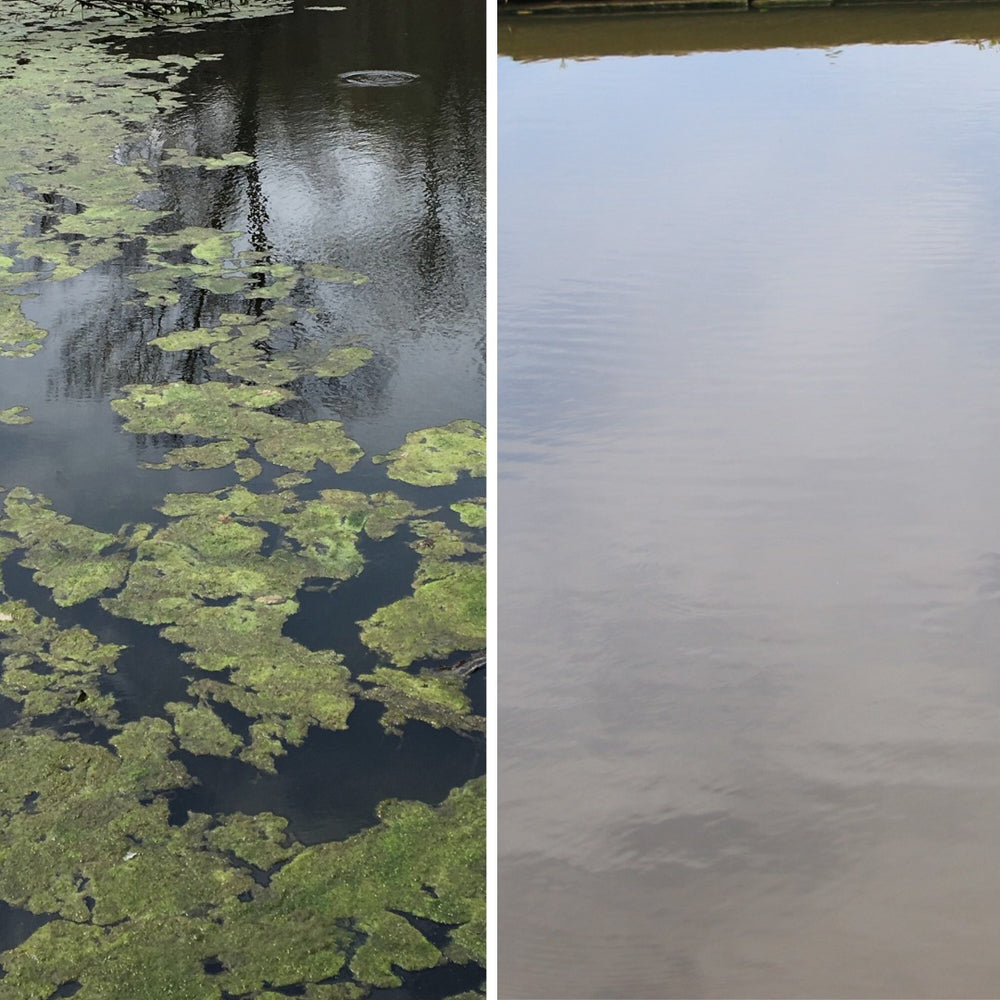 Healthy Ponds — Parkland Irrigation